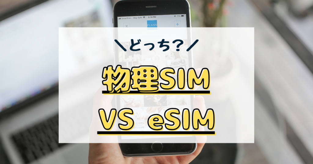 eSIMと物理SIMはどっちがいい？推しはeSIMだけどデメリットも解説 | ナオスケログ